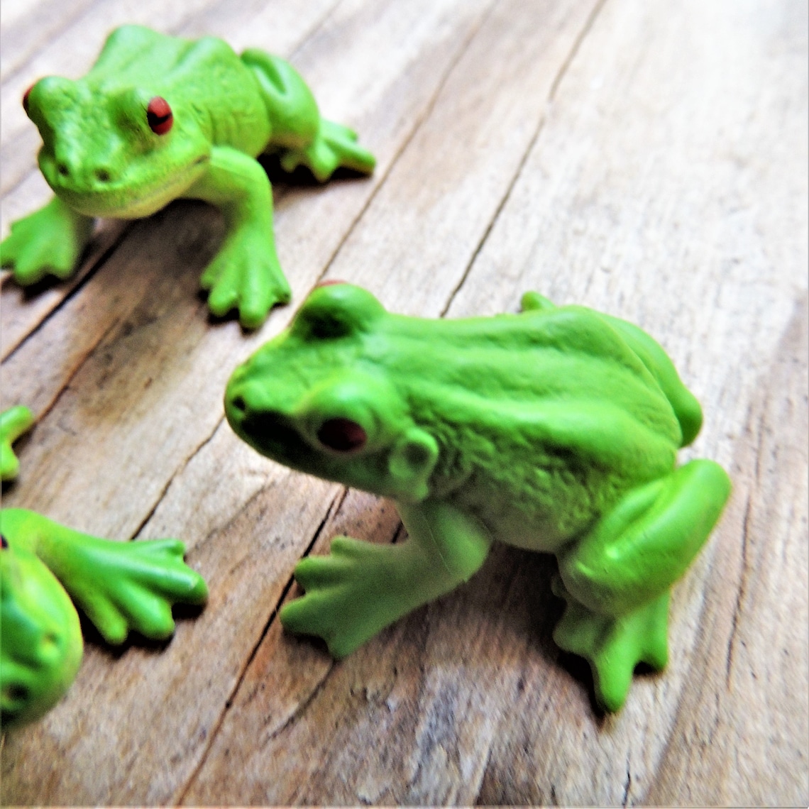 MINIATURE FROG Animal Figures Figurines Fairy Garden Dollhouse - Etsy