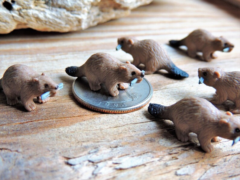 Set of MINIATURE BEAVERS Animal Figurine Figure Mini Terrarium Fairy ...