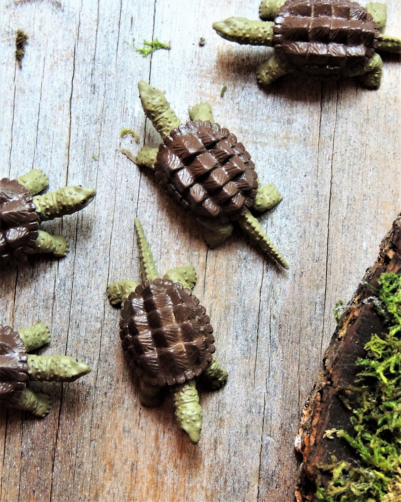MINIATURE SNAPPING TURTLE Animal Figurine Figures Dollhouse Diorama ...