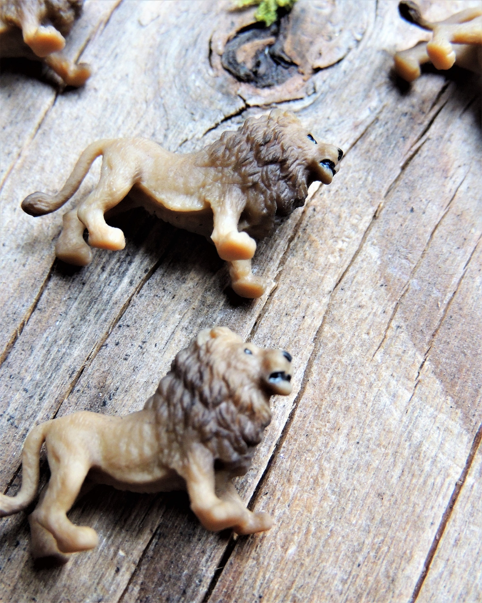 Lion MINIATURE ANIMALS Figurines Mini Lions Safari Zoo Figure - Etsy