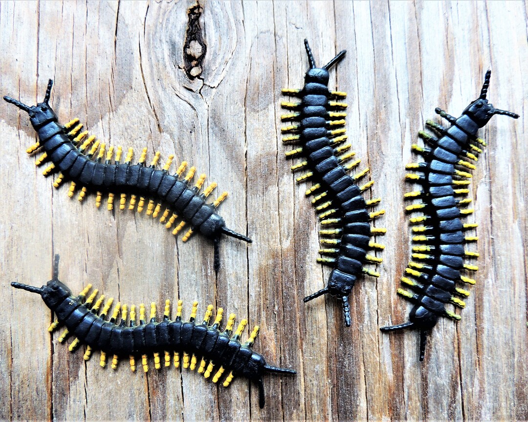 MINIATURE CENTIPEDE Plastic Animal Insect Figures Figurines Terrarium ...