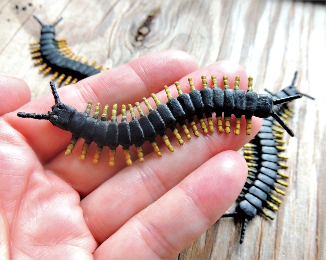 MINIATURE CENTIPEDE Plastic Animal Insect Figures Figurines - Etsy