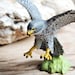 Large MINIATURE FALCON Bird Animals Figure Figurine Dollhouse Fairy ...