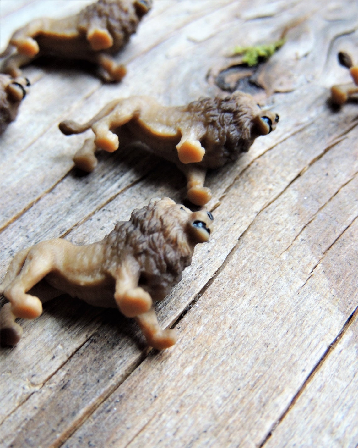 Lion MINIATURE ANIMALS Figurines Mini Lions Safari Zoo Figure - Etsy