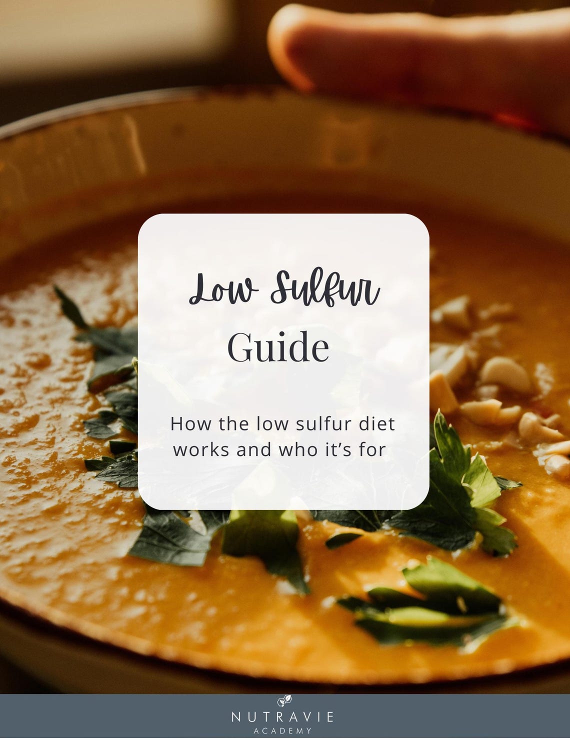 Low Sulfur Guide | Low Sulfur Diet Guide - Etsy