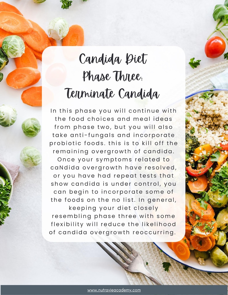 Candida Protocol | Gut Health | Digestive Health - Etsy