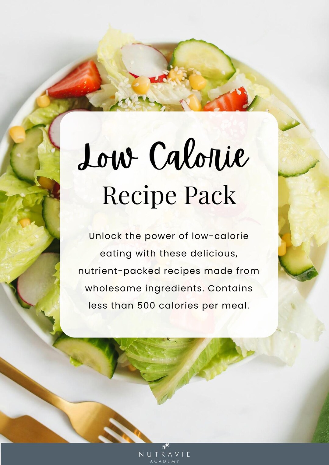 Less Than 500 Calorie Recipes | Low Calorie Bundle - Etsy