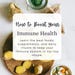 Immune System Bundle | Immune Health | Nervous System Regulation ...