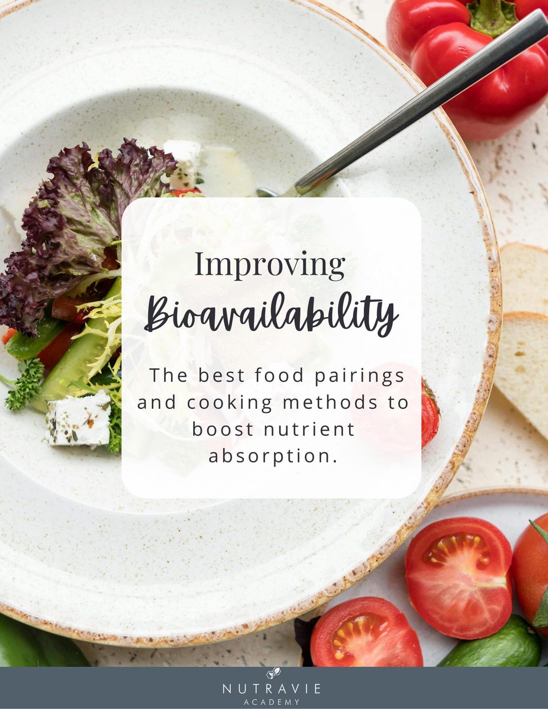 Bioavailability Guide | Digestive Health | Digestion Tips - Etsy