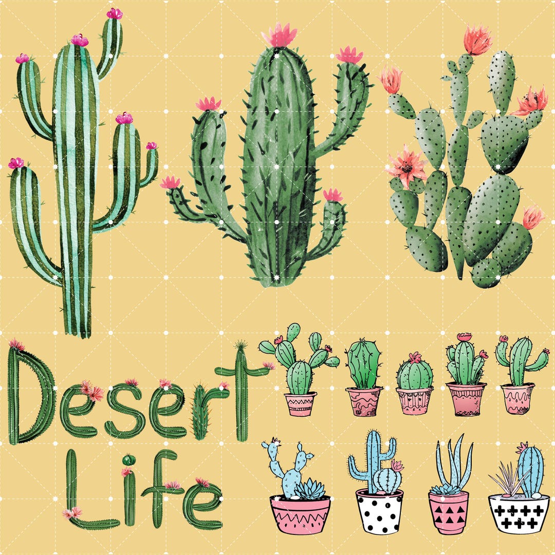 Cactus Png, Cactus Clipart Bundle Png, Watercolor Cactus Png, Retro ...