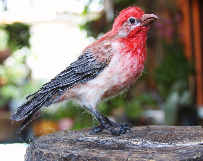 Northern Mockingbird - Felting Realistic Toy - the State Bird of ...