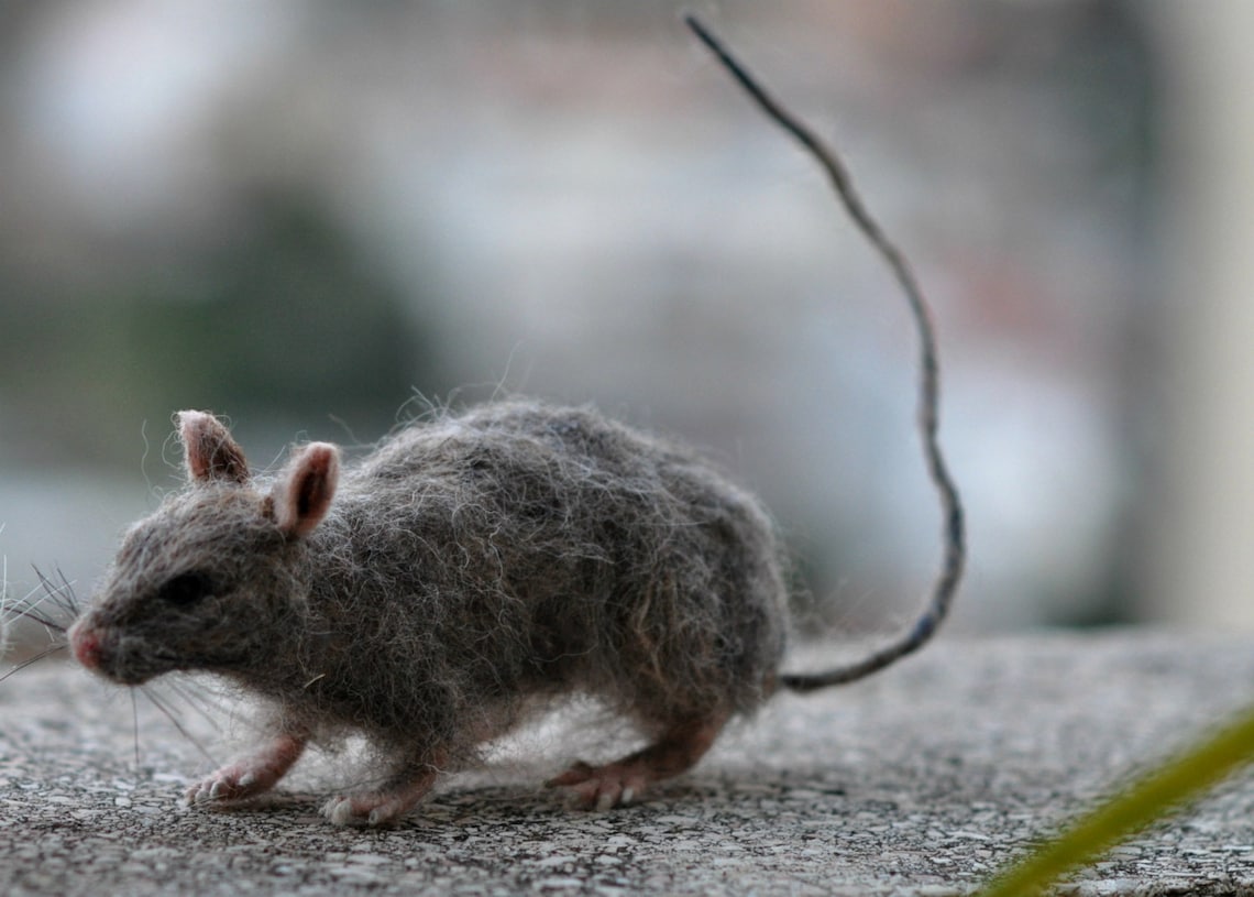 Needle Felted Animal. Rat. Made to Order - Etsy