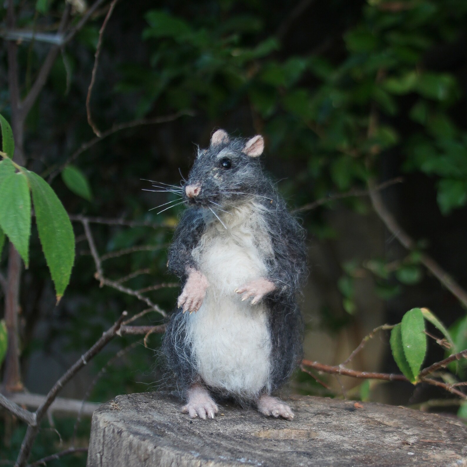 Needle Felted Animal. Rat. Made to Order - Etsy