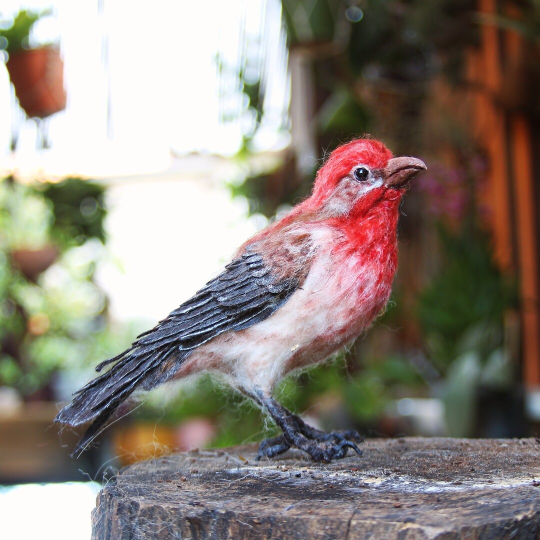 Needle Felted House Finch: Realistic Bird Sculpture, Made to Custom ...
