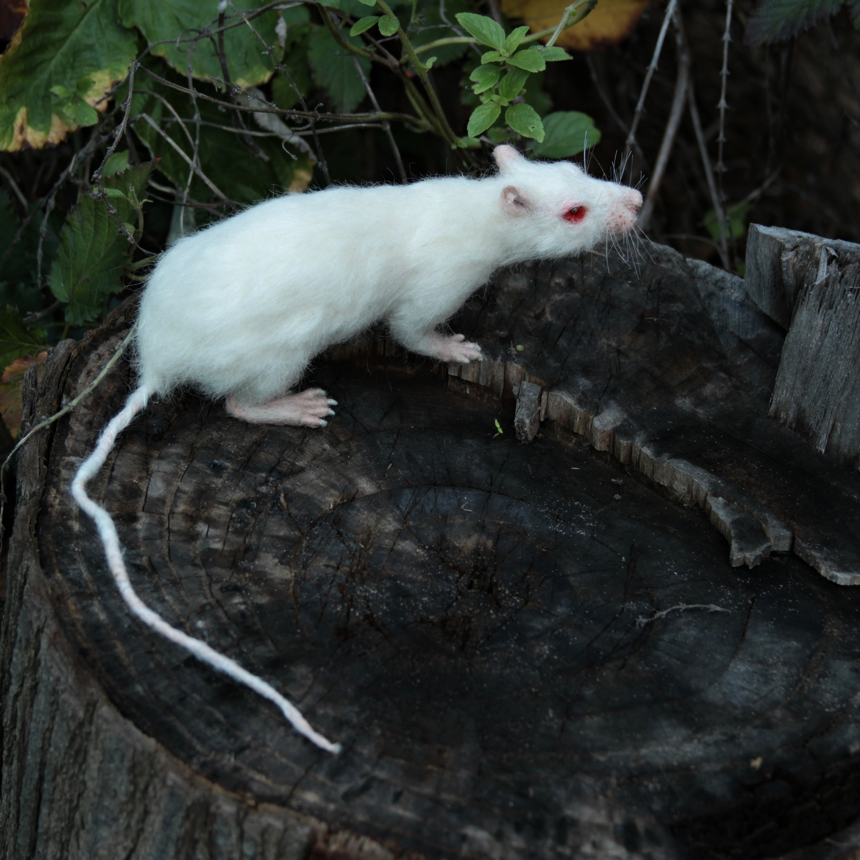 Needle Felted Animals .wistar Laboratory Rat. Life Size. - Etsy Canada