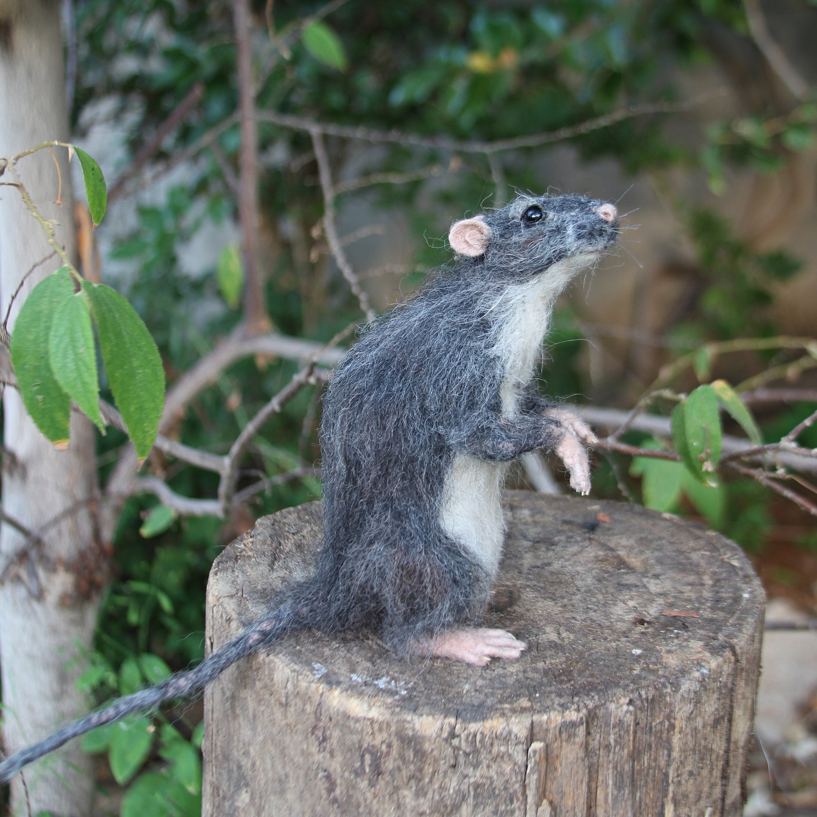 Needle Felted Animal. Rat. Made to Order - Etsy