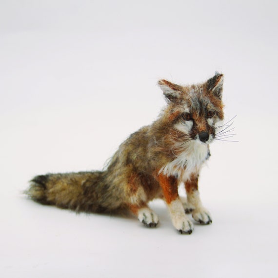 Gray Fox Animal Sitting