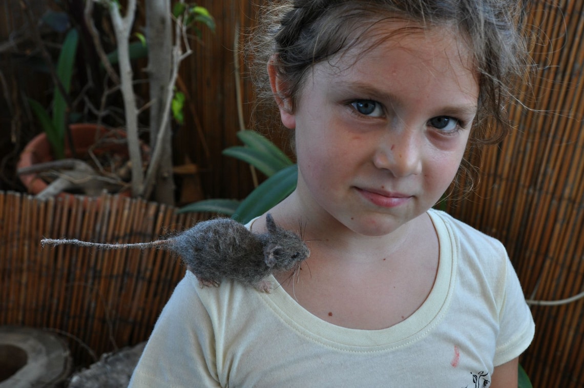 Needle Felted Mouse. Gray Mouse. Real Size . - Etsy
