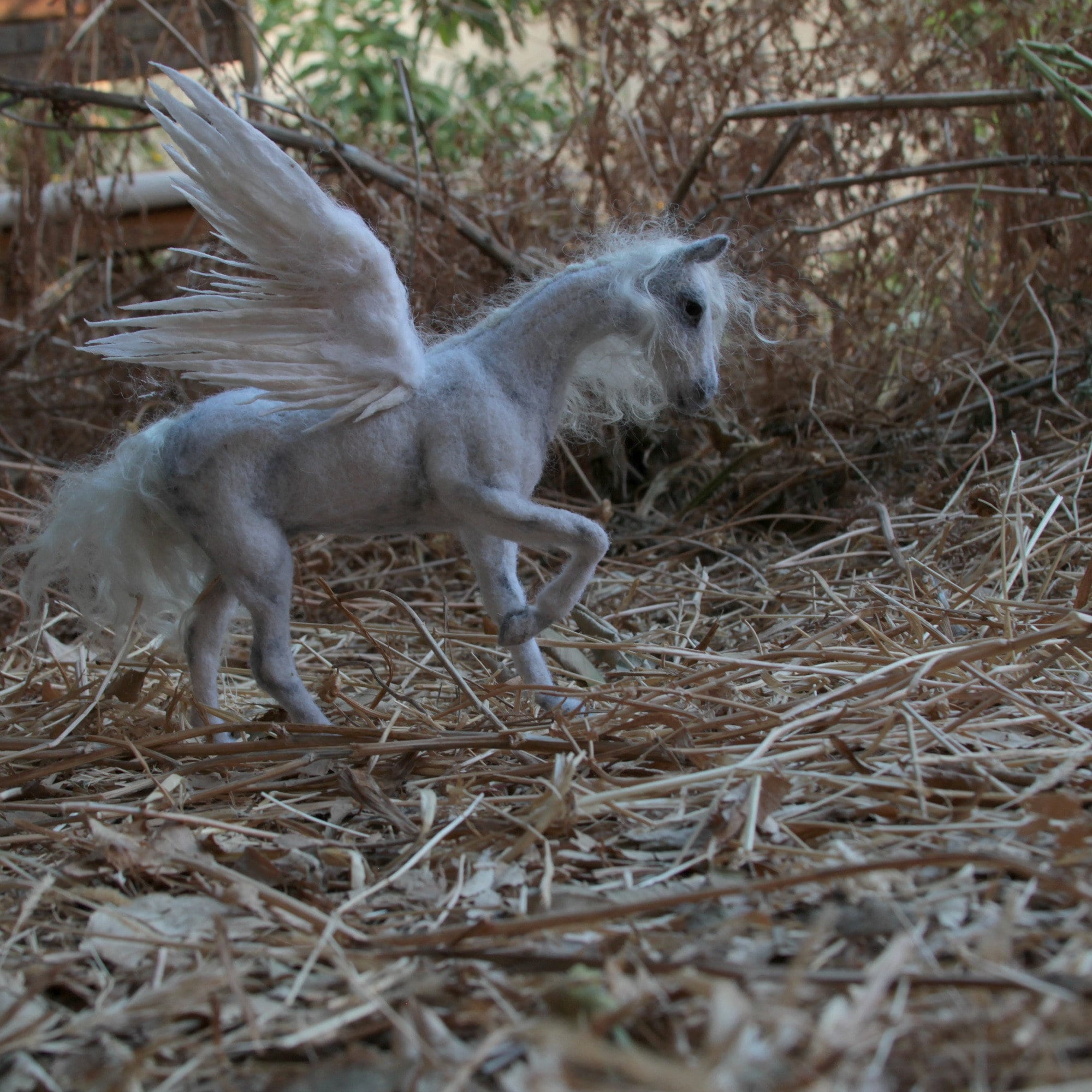 Real Baby Pegasus