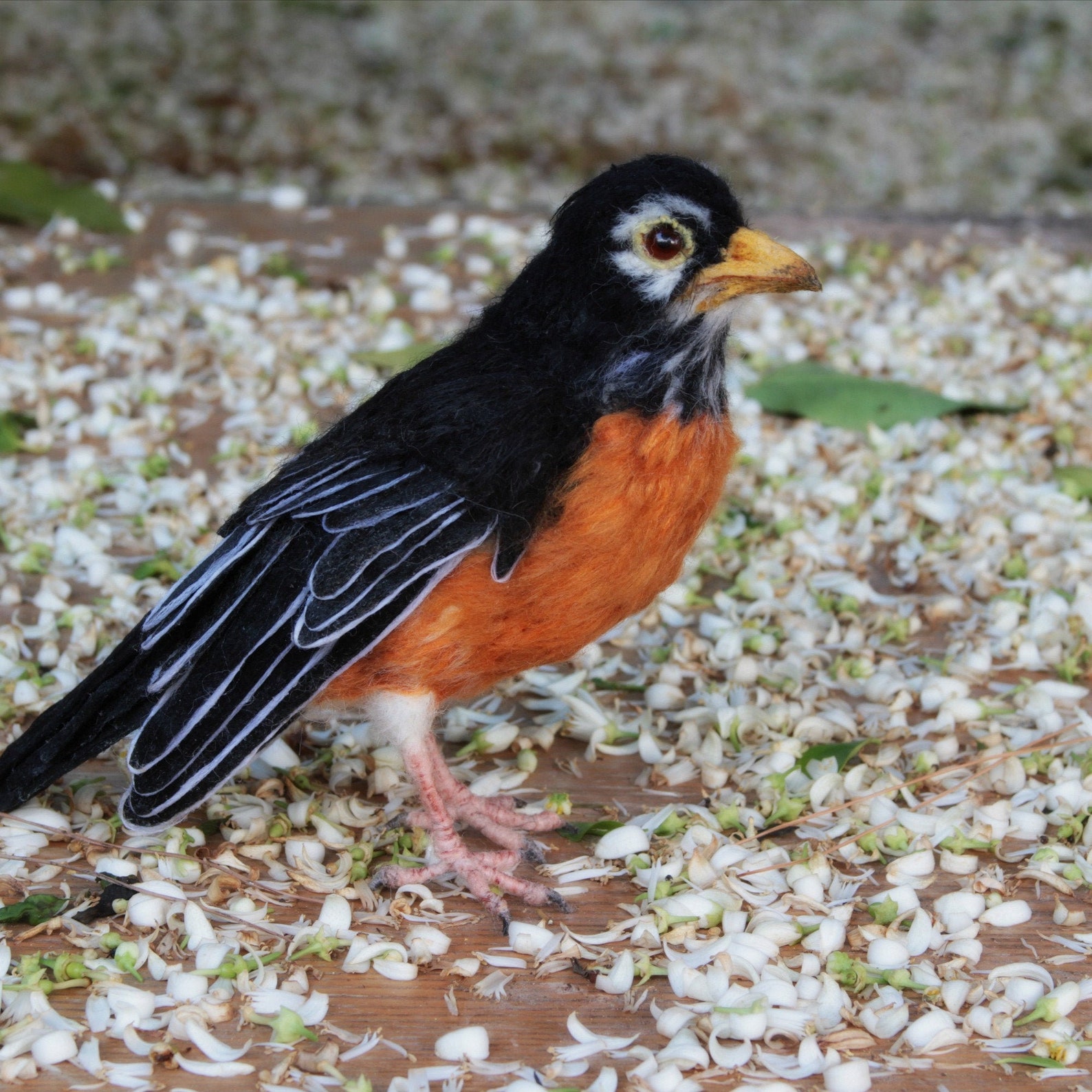 Needle Felted Bird. American Robin. Life Size. Soft Sculpture. - Etsy