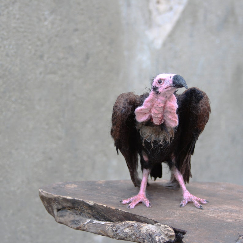 Needle Felted Bird. Red Headed Vulture. Made to Order - Etsy