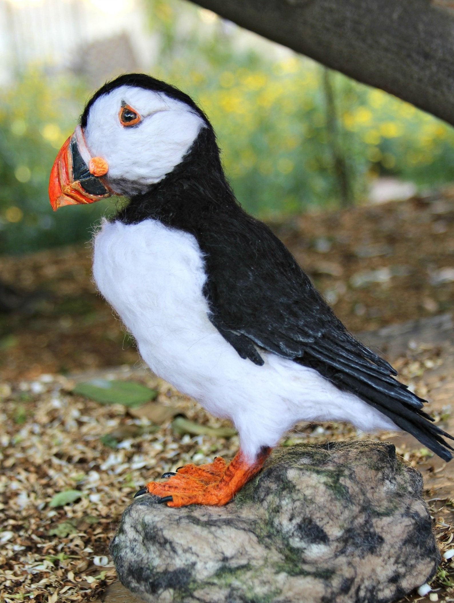 Needle Felted Bird Puffin. Wool Bird Sculpture .made to Order - Etsy