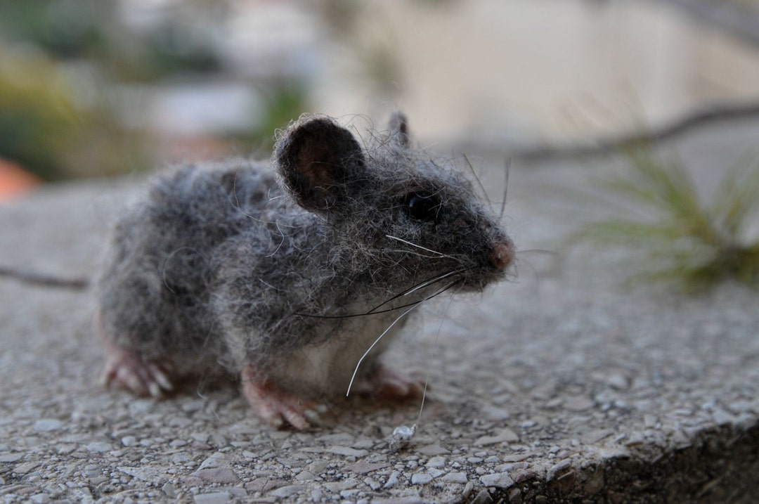 Needle Felted Mouse. Gray Mouse. Real Size . - Etsy