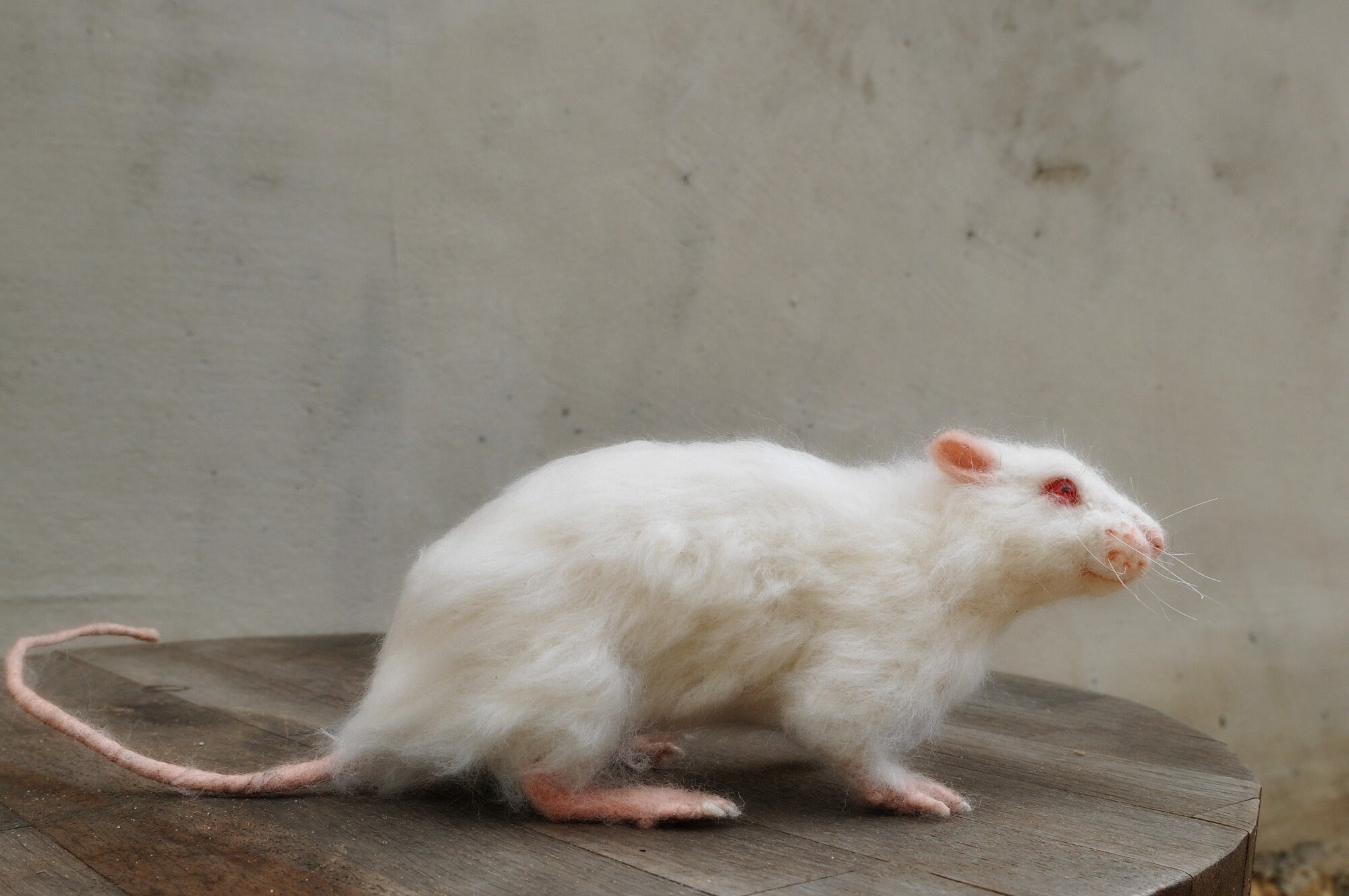 Needle Felted Animals .Wistar Laboratory Rat. Life size. | Etsy