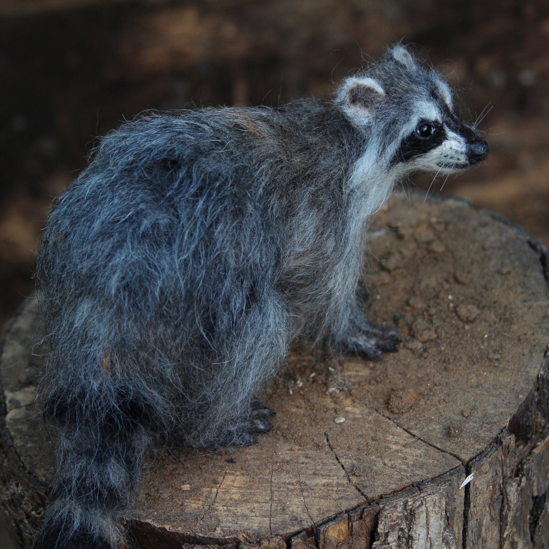 Needle Felted Animals. Needle Felted Raccoon, Wildlife Sculpture. Felt ...