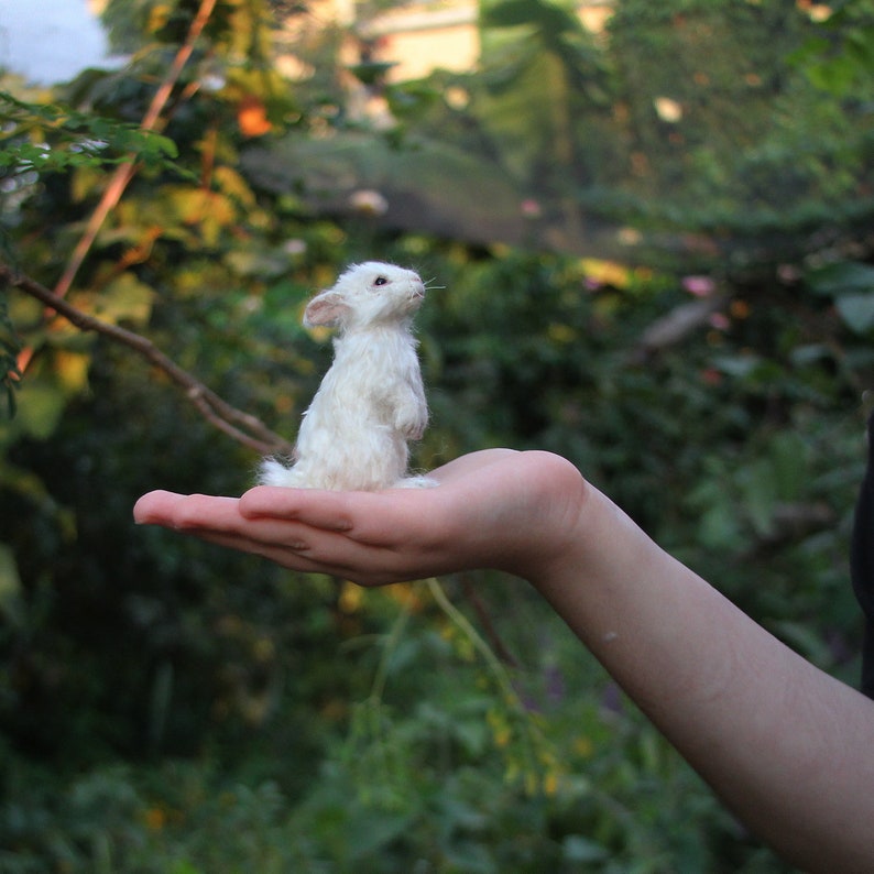 Needle Felted Animals-mini Needle Felted Rabbit-felted Animal - Etsy