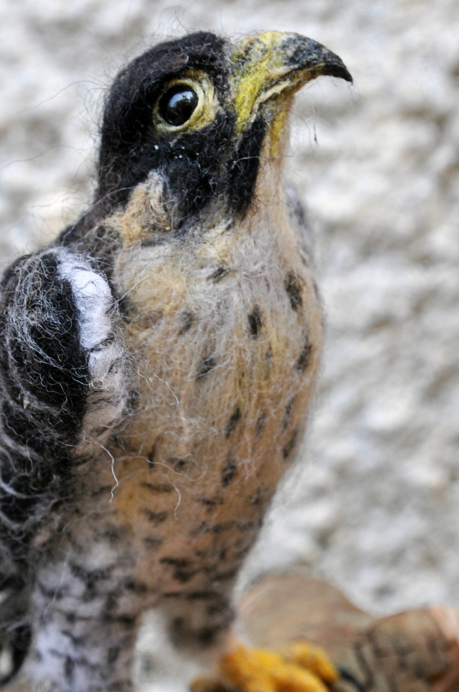 Needle Felted Animals/peregrine Falcon/soft Sculpture /made to Custom ...