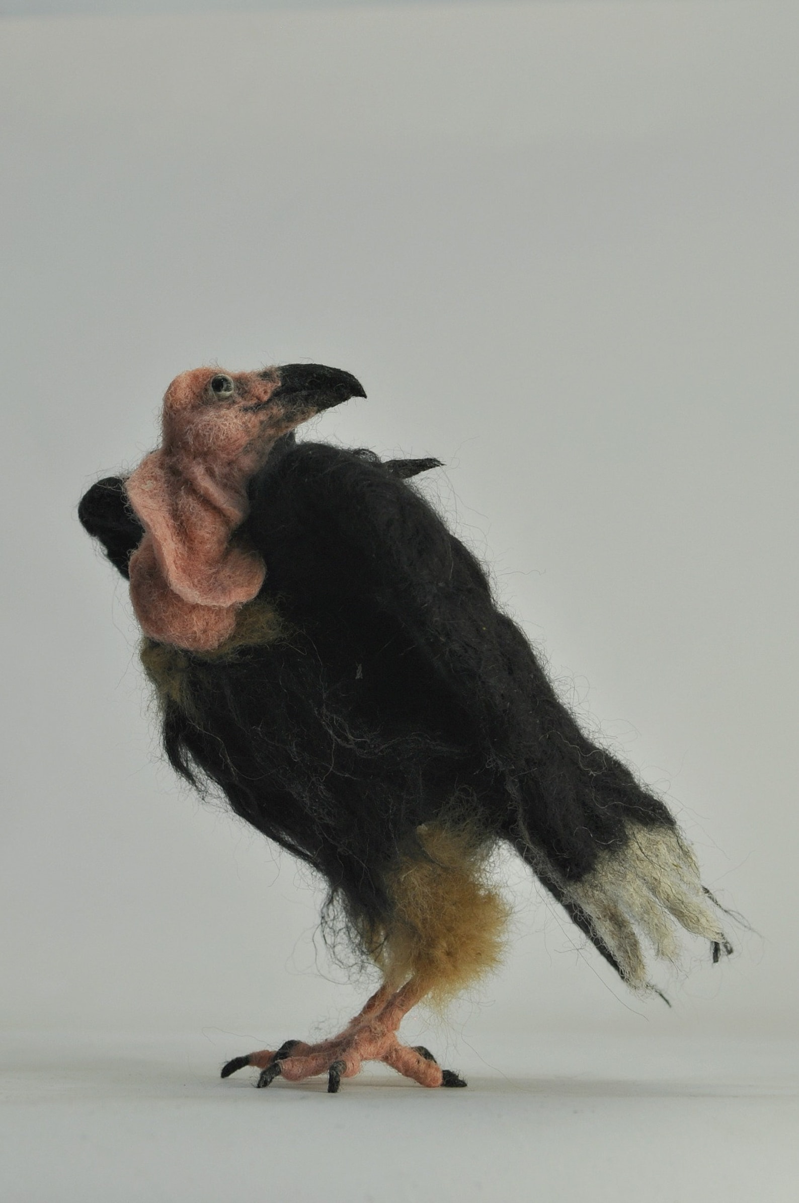 Needle Felted Bird. Red Headed Vulture. Made to Order - Etsy