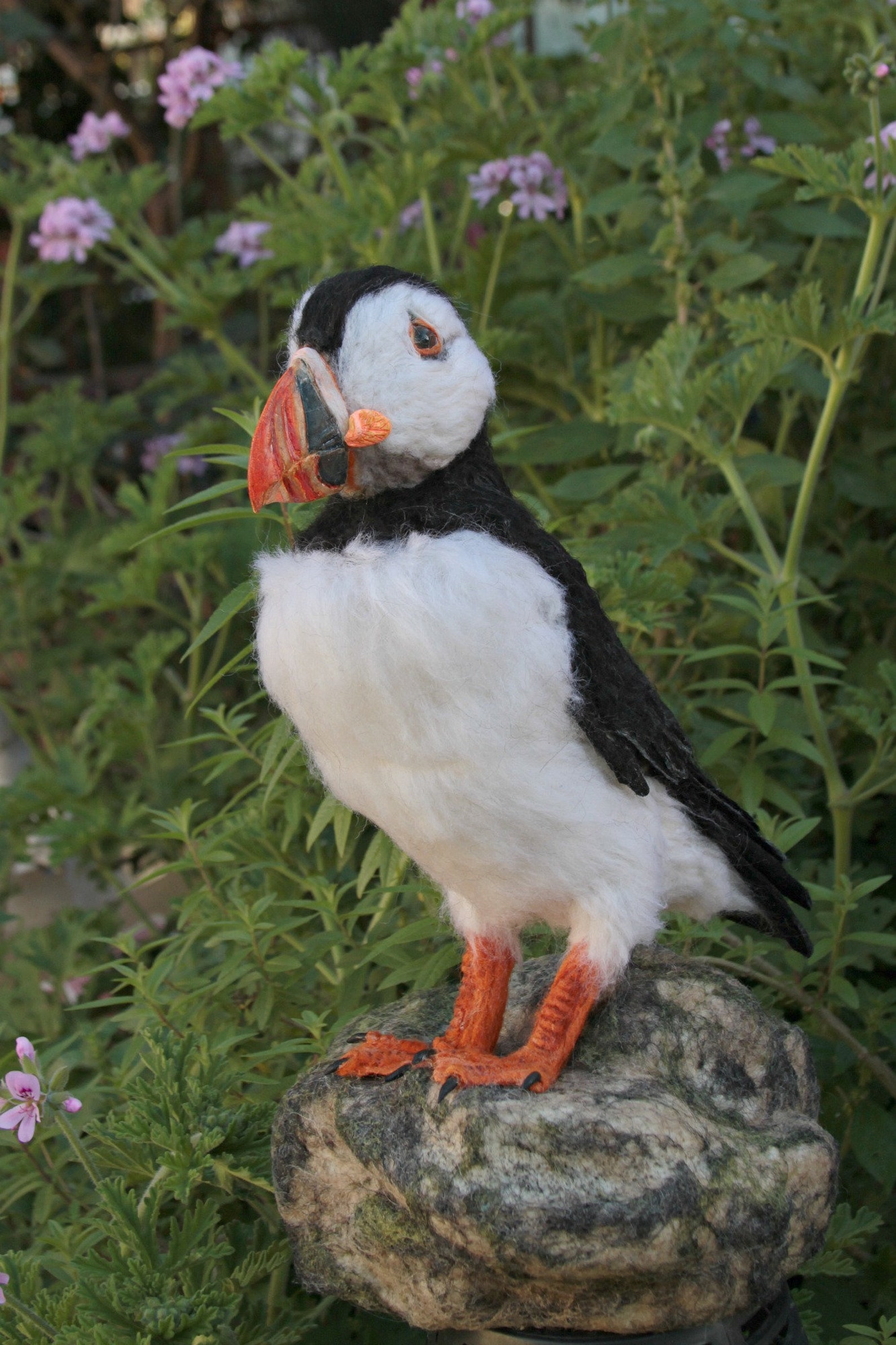 Needle Felted Bird Puffin. Wool Bird Sculpture .made to Order - Etsy