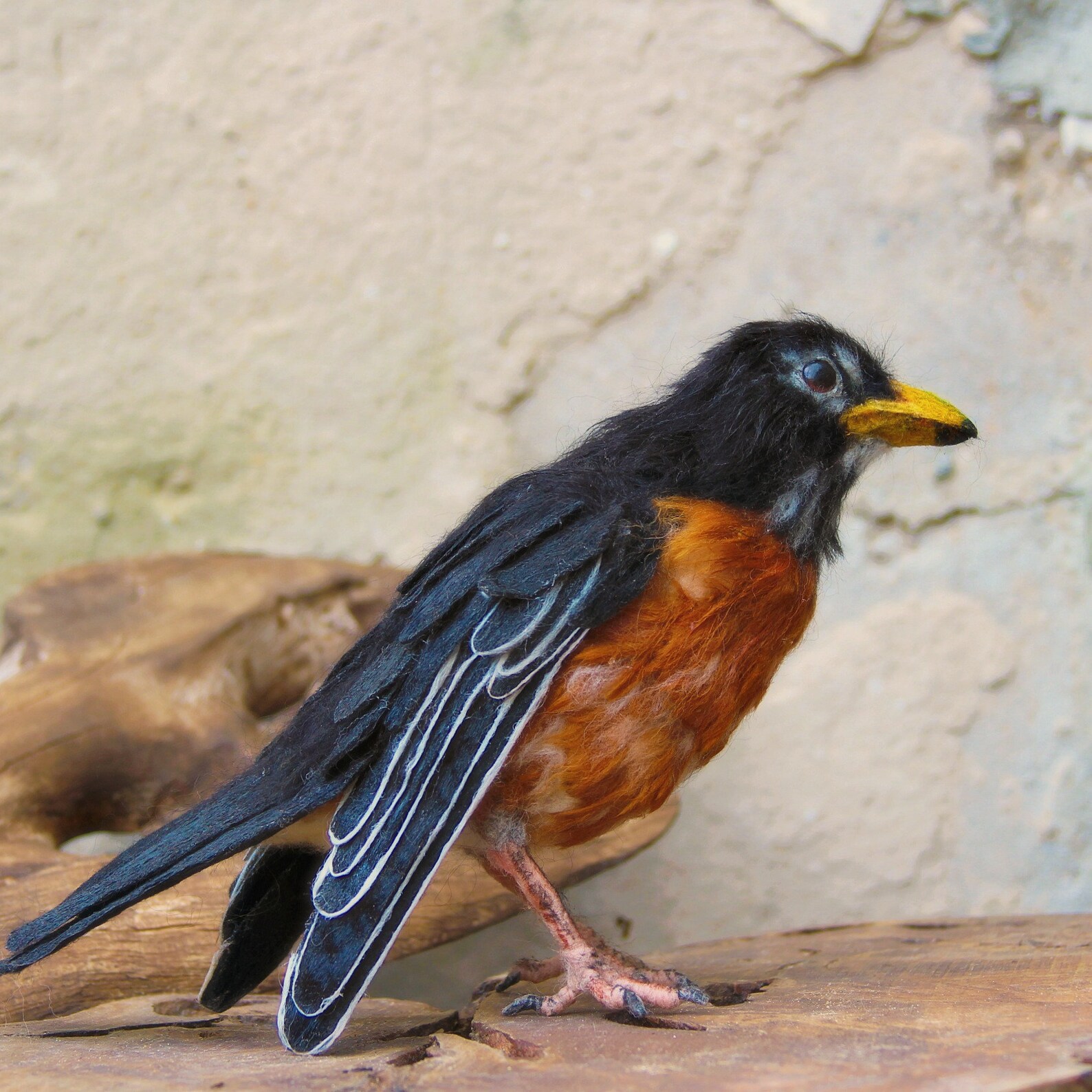Needle Felted Bird. American Robin. Life Size. Soft Sculpture. - Etsy