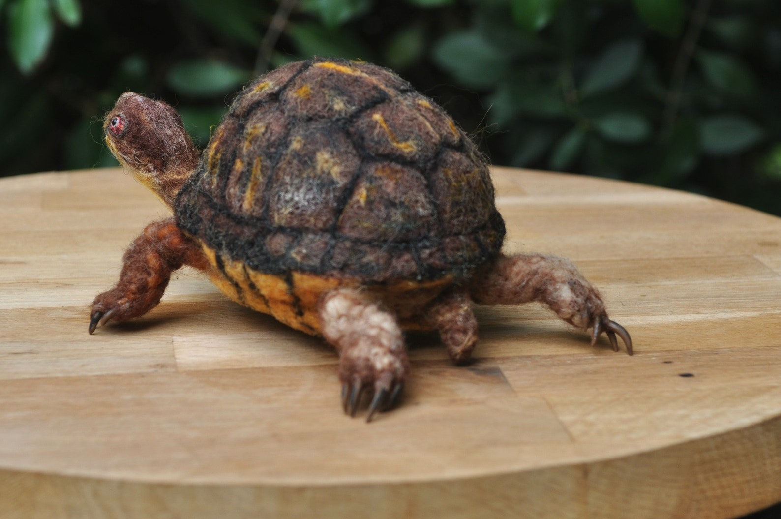 Needle Felted Animals/Needle felted Box Turtle/Box Turtle | Etsy