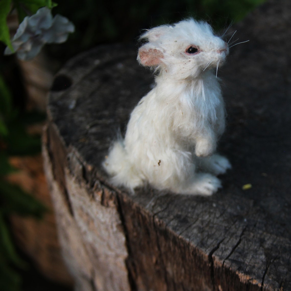 Needle Felted Animals-mini Needle Felted Rabbit-felted Animal - Etsy