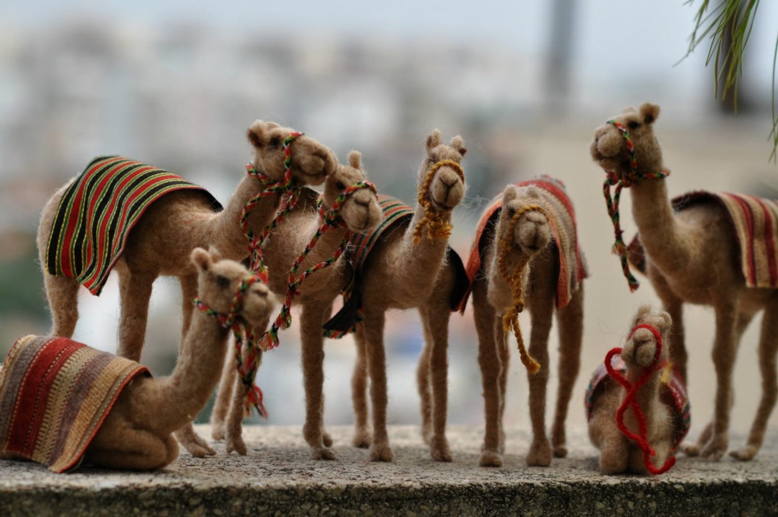Needle Felted Camel. Made to Order - Etsy