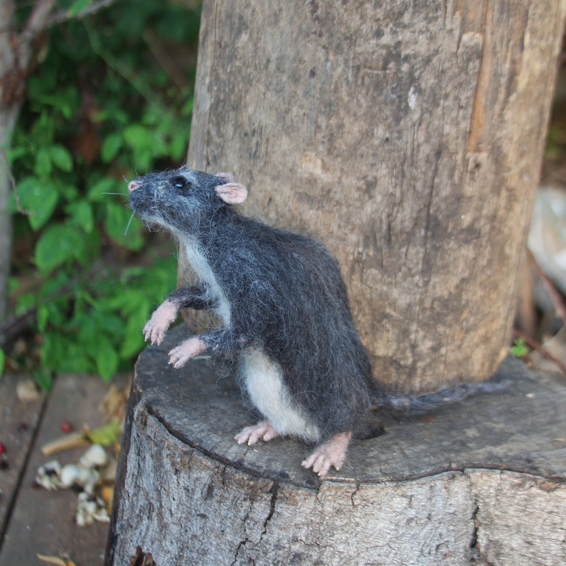 Needle Felted Animal. Rat. Made to Order - Etsy