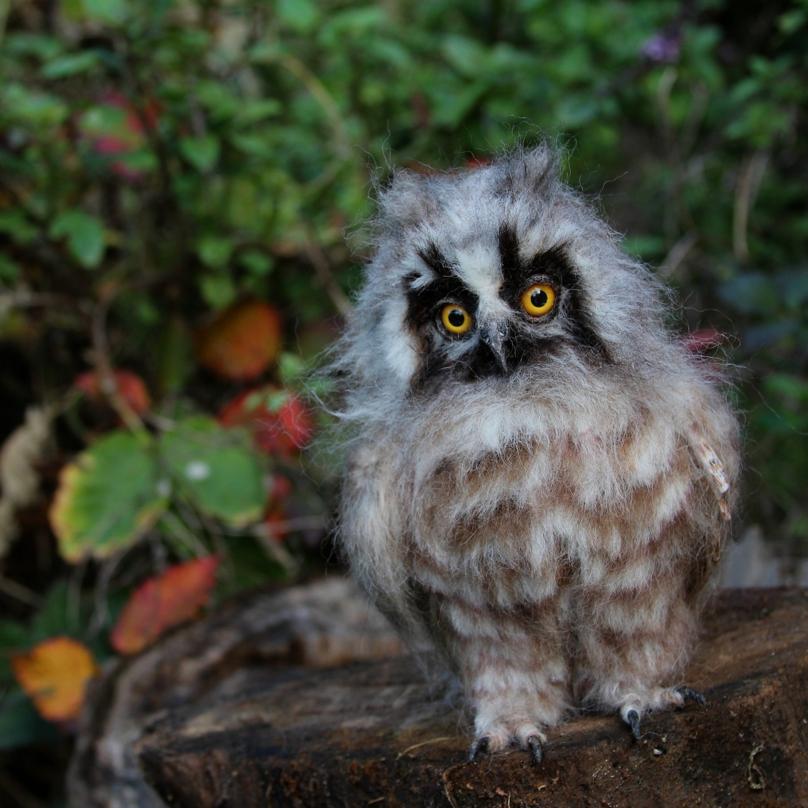 Needle Felted Wool Owl. Felt Owl . Owl Figurine. Baby owl. | Etsy