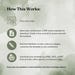 Green Desktop Wallpaper With File Organisation - Etsy