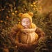 Newborn Digital Backdrop - Honey Pot Scene With Face Poppet ...
