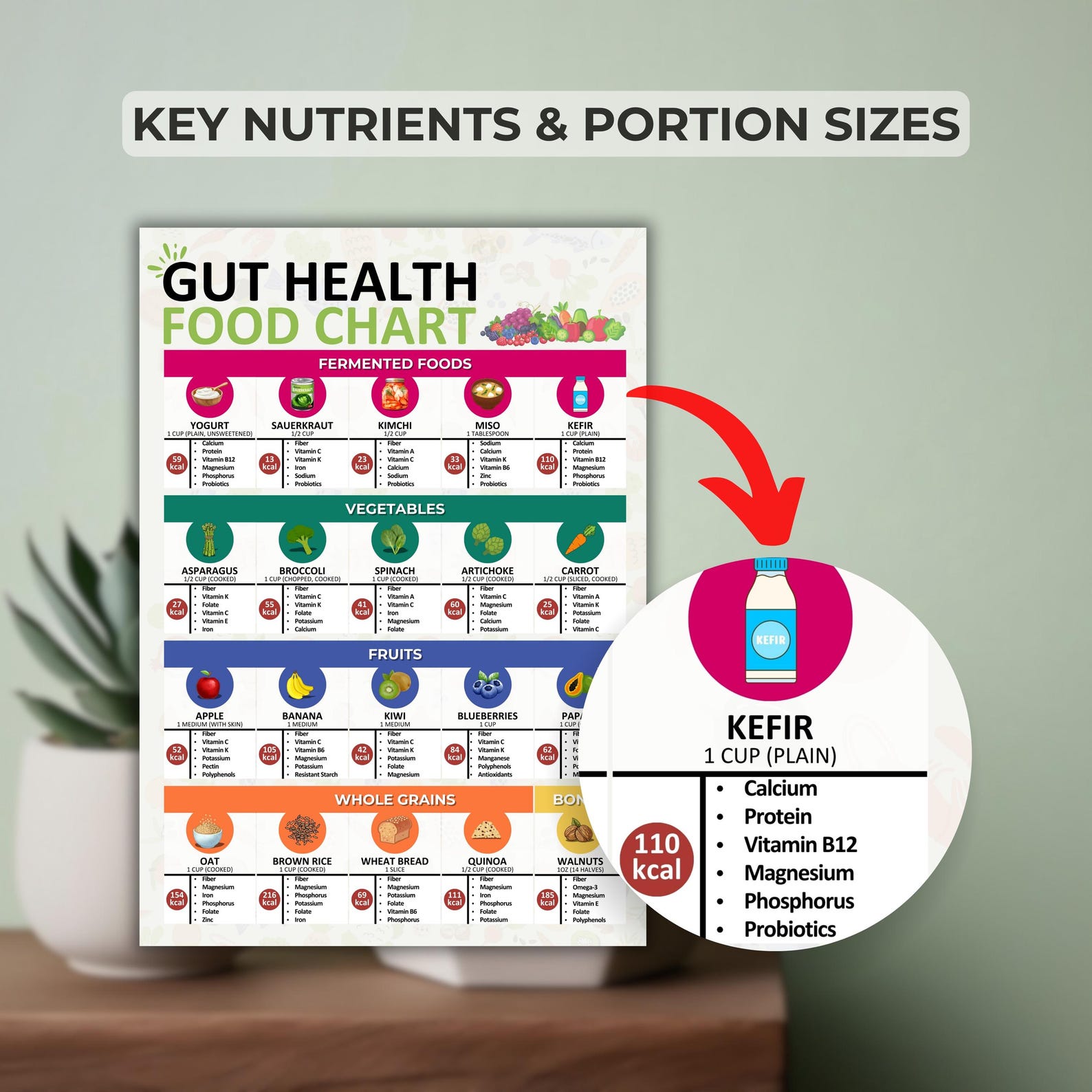 Gut Health Food Chart, Healthy Gut Food Guide, Probiotic Foods ...