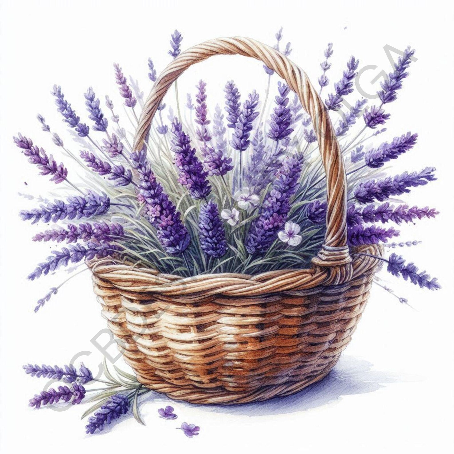 Watercolor Lavender Flowers Clipart and Background Digital Papers. - Etsy