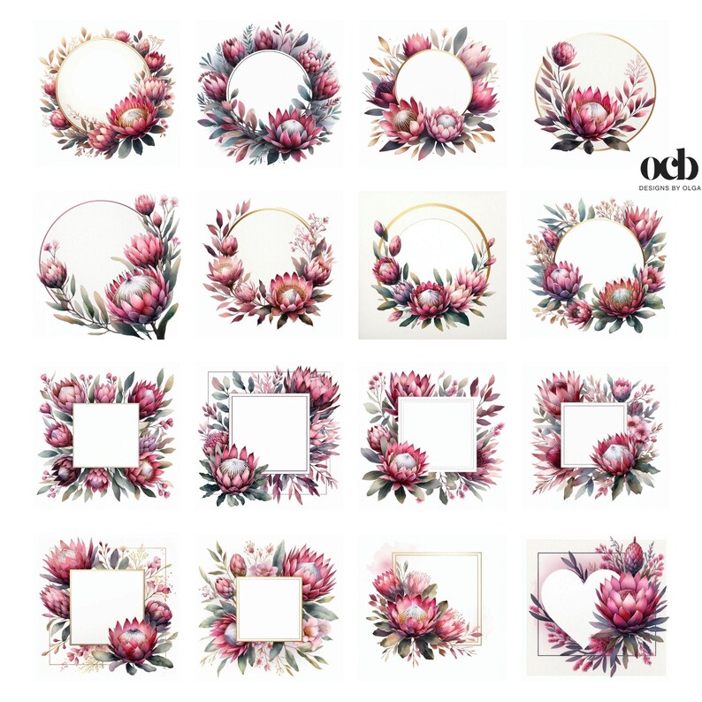 Proteas, Watercolor Proteas, Background Paper and Clipart, Scrapbooking ...