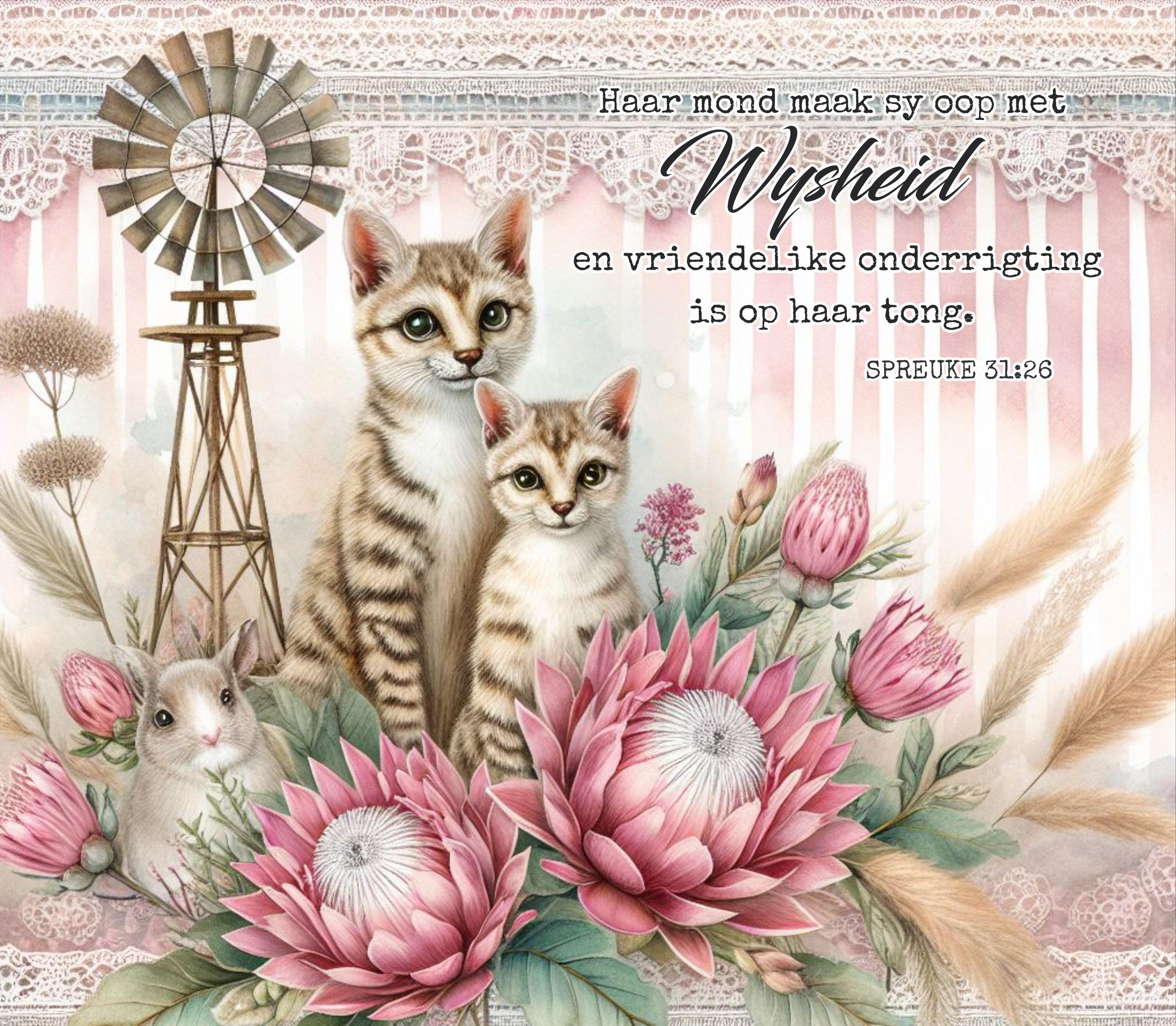 Afrikaans, Dames Bybel Woord, Pienk Proteas, Windpomp, Skinny Tumbler ...