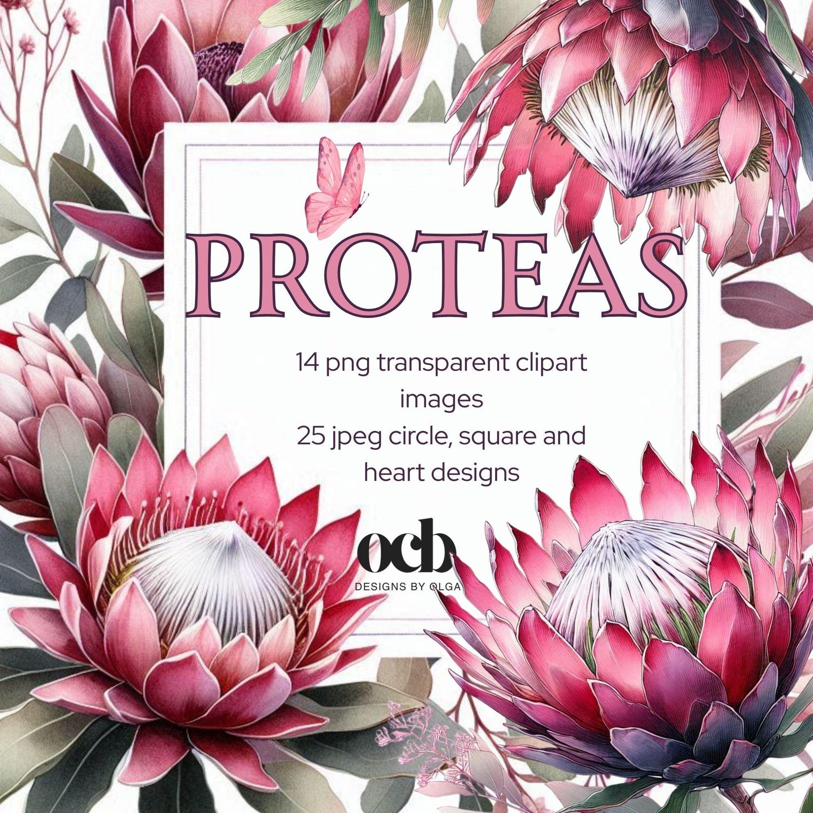 Protea Clipart, Watercolor Proteas, Background Paper, Scrapbooking. - Etsy