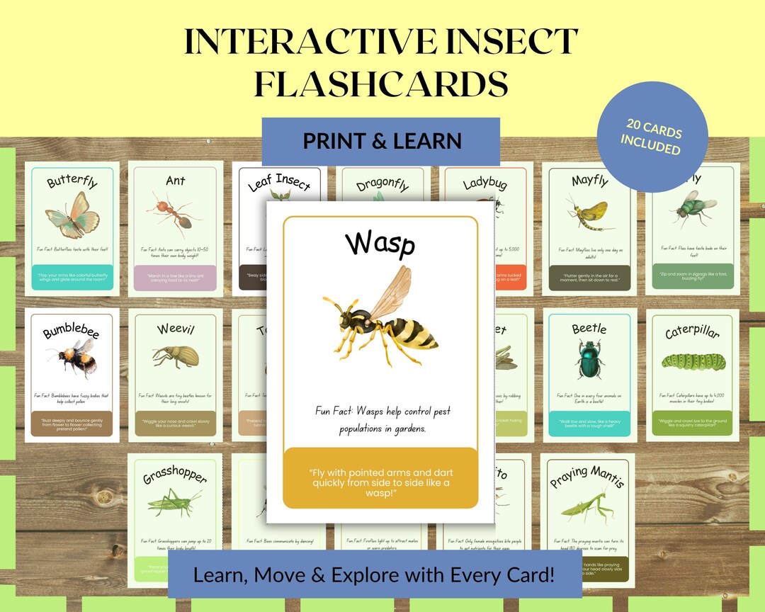 Printable Insect Flashcards for Kids, Bug Learning Cards, Insect Name ...