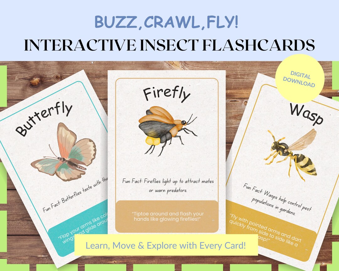 Flashcards for Kids Printable Bug Learning Cards Interactive Insect ...