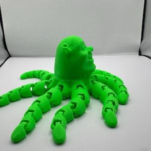3D Printed Shrektopus Figit Toy - Etsy