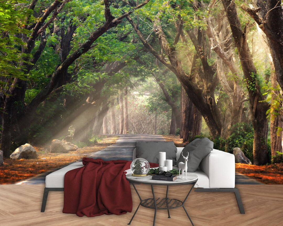 Forest Road Landscape Wallpaper, Forest Mural, Green Trees View ...